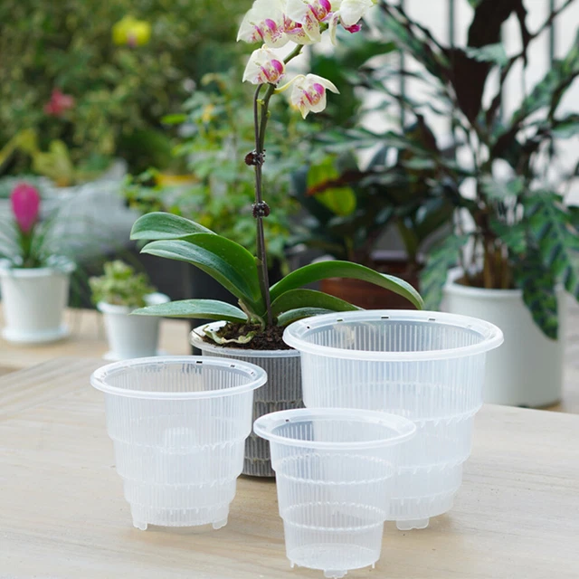 PP MESH POT Plastic Clear Orchid Flower Planter Container Home ...