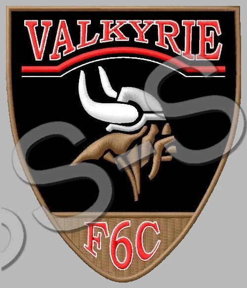 HONDA VALKYRIE F6C PATCH****EMBROIDERY~4-1/2"x 3-3/4" IRON/SEW ON ...