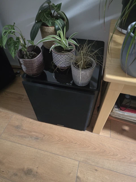 SONUS FABER GRAVIS III Subwoofer - Big, Beautiful, Bold, Bountiful ...