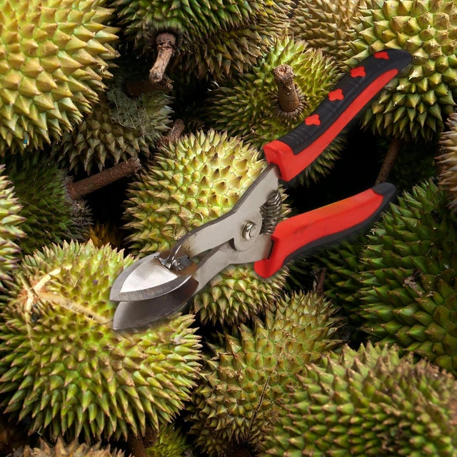 DURIAN OPENER DURIAN Opening Tool Peel Break Tool Divider Shelling ...