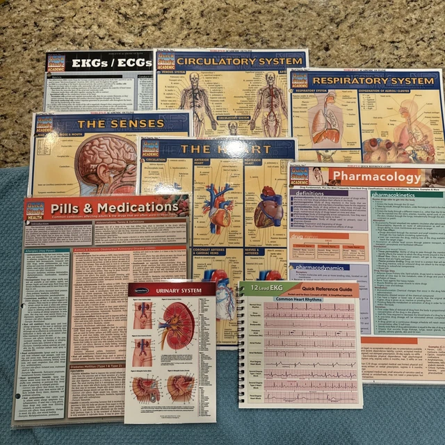LAMINATED HEALTH ANATOMY Quick Study Academic Bar Charts Inc £19.06 ...