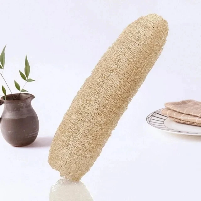 NATURAL LOOFAH SPONGE Eco Dishwashing Bath Kitchen Scrubber Brush UK £9 ...