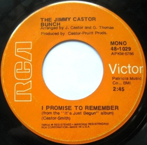 THE JIMMY CASTOR Bunch Troglodyte (Cave Man) / I Promise To Remember ...