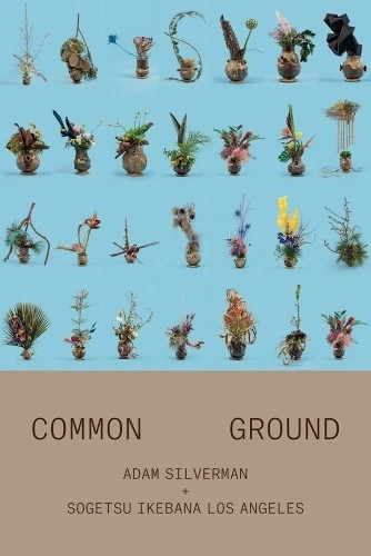 ADAM SILVERMAN ADAM Silverman: Common Ground (Poche) EUR 33,74 ...
