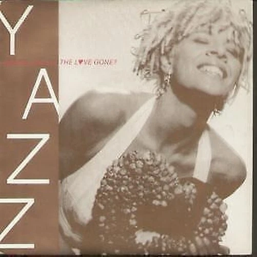 YAZZ WHERE HAS All the Love Gone 7" vinyl UK Big Life 1989 B/w stand up for your EUR 1,40 ...