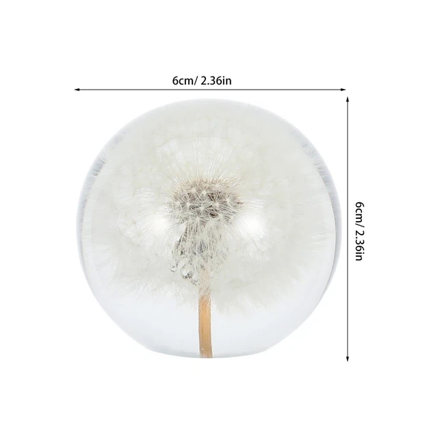 PRESERVED REAL DANDELION Paperweight: 60mm Clear Resin Sphere - Nature ...