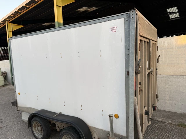 IFOR WILLIAMS BV106 Box Trailer 6ft high-inside-Ramp AND barn Style ...