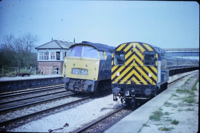 ORIGINAL 35MM COL Slide Class 52 D1036 Western Emperor Tiv/Junc 9/5/76 ...