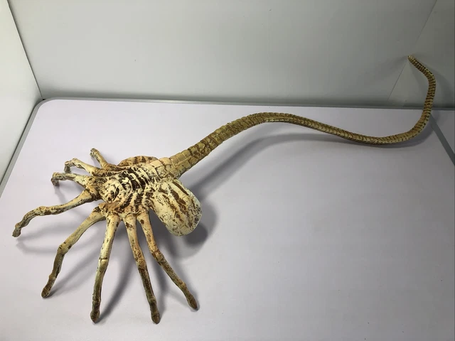 Life Size Posable Replica Face Hugger Alien Covenant £75 00 Picclick Uk