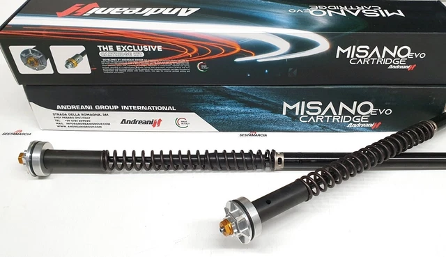 HYDRAULIC CARTRIDGE FORK Andreani Fork Paioli 43 Yamaha Xt 660 X Motard ...