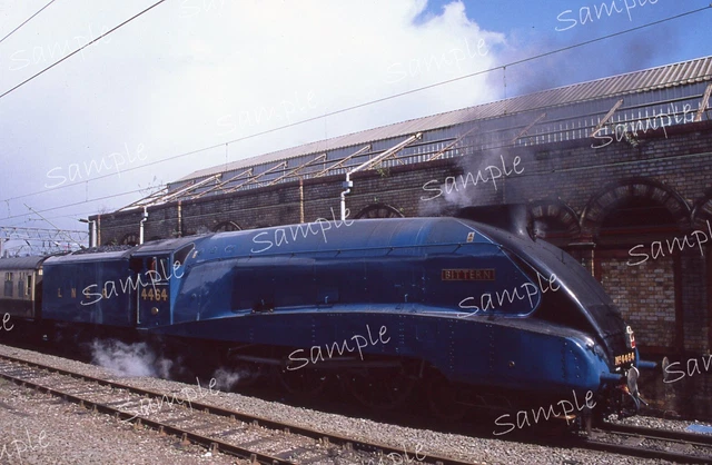35MM SLIDE STEAM Train LNER Class A4 No 4464 Bittern BR British Railways £2.49 - PicClick UK