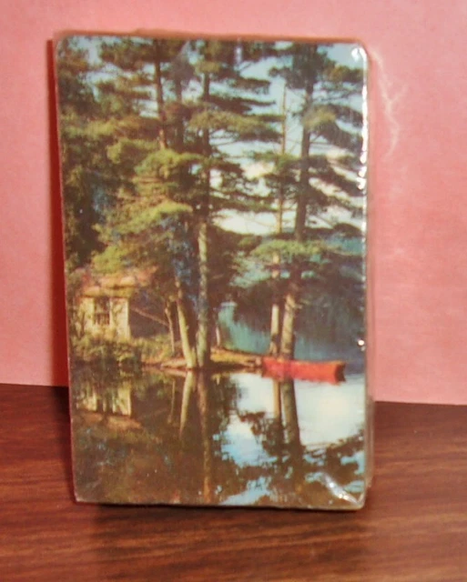 VTG STARDUST PLASTIC Coated Nu-Vue Sealed Playing Cards - Cabin Woods ...