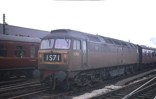 ORIGINAL COLOUR SLIDE of D1837 BR class 47 diesel loco £3.99 - PicClick UK