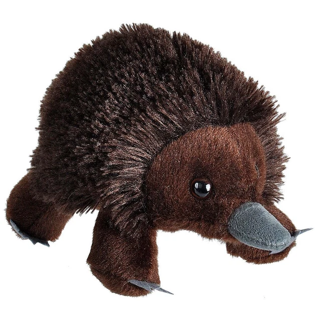 HUG'EMS MINI ECHIDNA Plush Soft Toy 18cm Stuffed Animal by Wild ...