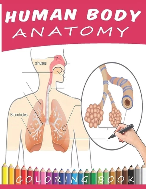 HUMAN BODY ANATOMY Coloring Book: The Ultimate Anatomy and Physiology ...
