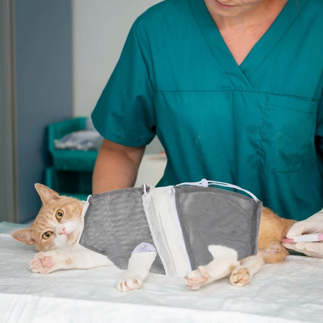 CAT GROOMING BAG Cat Restraint Adjustable Bag Washing Shower Mesh Bag ...