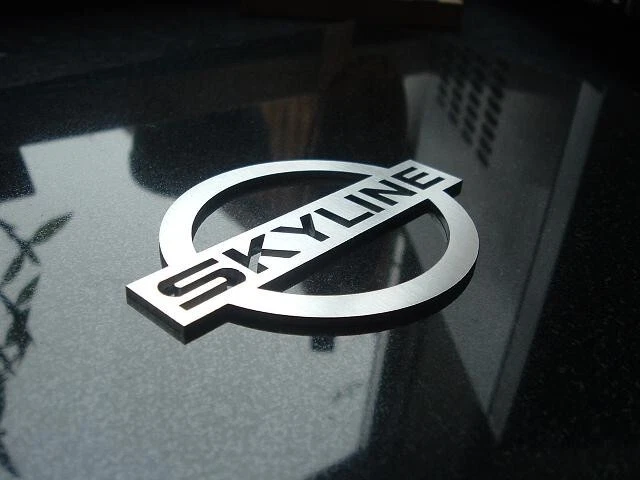 NISSAN SKYLINE badge R32 R33 R34 GTS GTST GTT GT-T GT-S GTS-T £5.00 ...