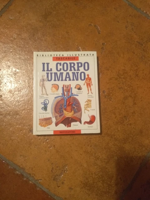 IL CORPO UMANO - Biblioteca Illustrata Tascabile - Mondadori - 1997 EUR ...