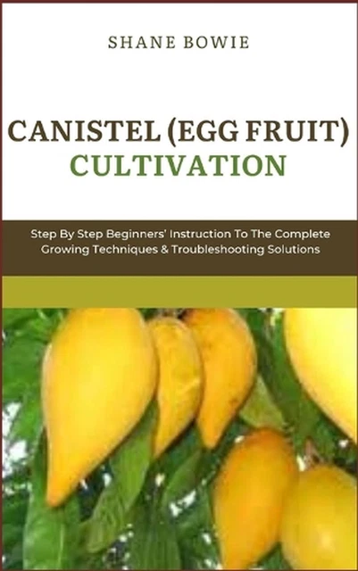 CANISTEL (EGG FRUIT) Cultivation: Step By Step Beginners Instruction To ...