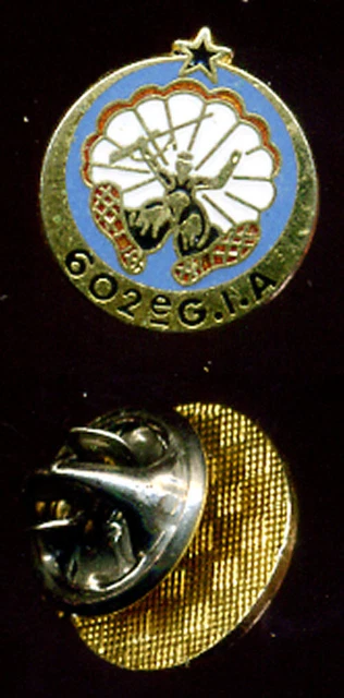 PIN'S / 602° G.i.a Infanterie De L'air - Commando Parachutiste De L'air ...
