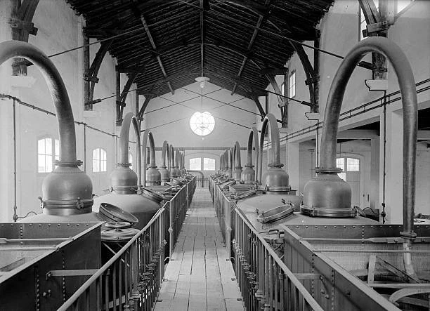 STILLS OF PERFUME Factory Vallauris Golfe Juan 1926 Old Photo EUR 6,62 ...