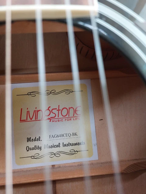 LIVINGSTONE LARGE ACOUSTIC guitar with equalizer and amplifier output ...