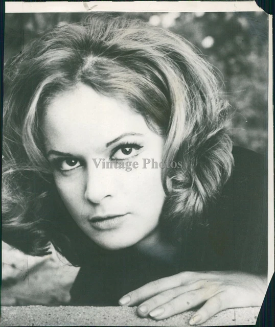 1960 ACTRESS GINA Lollobrigida Leticia Roman Hollywood Sculptor 6X6 ...