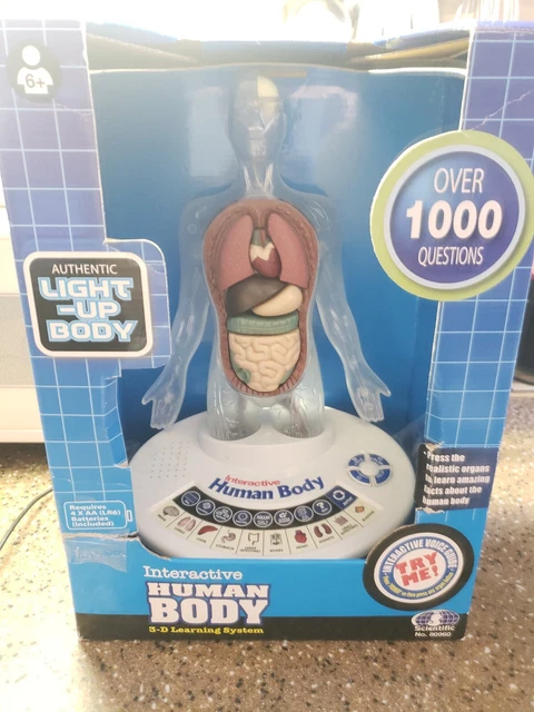 SCIENTIFIC TOYS INTERACTIVE Human Body Anatomical Learning Toy 2007 ...