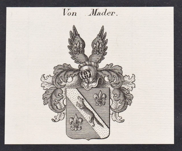 MADER ARMOIRIES COAT Of Arms Héraldique Genealogie Gravure sur Cuivre ...