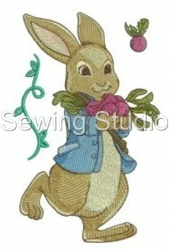 NEW STYLE PETER Rabbit Designs - Machine Embroidery Designs On Usb £16. ...