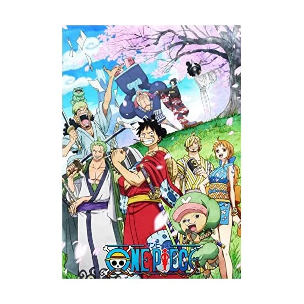 ONE PIECE ONE Piece 20th Season Wano Country Piece.34 DVD from japan EUR 31,28 - PicClick FR