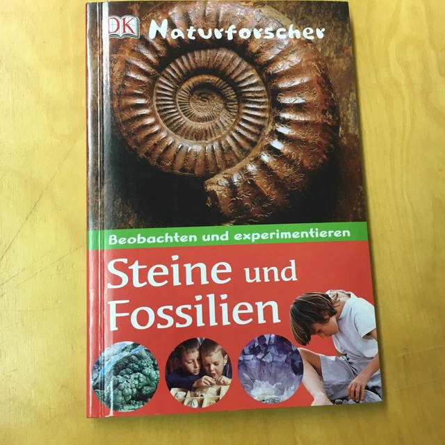 NATURFORSCHER STEINE UND Fossilien Beobachten und experimentieren Ben ...