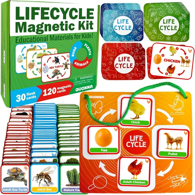 LIFE CYCLE KIT Toy Montessori - 30 Flash Cards Toddler Science ...