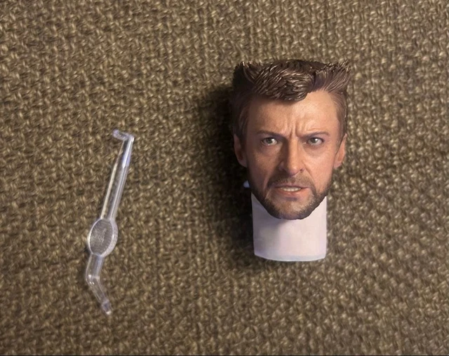 HOT TOYS WOLVERINE Deluxe Edition Real Face Head Only, Unused, No ...