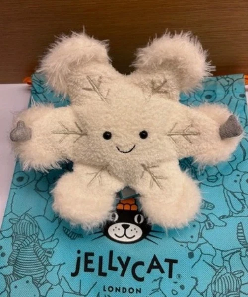 CUTE JELLYCAT AMUSEABLE Snowflake Doll, BNWT and Comes with Gift Bag £ ...
