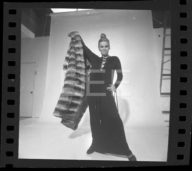 ANN-MARGRET FUR MOVIE Actress Dancer Model Harry Langdon Negative w ...