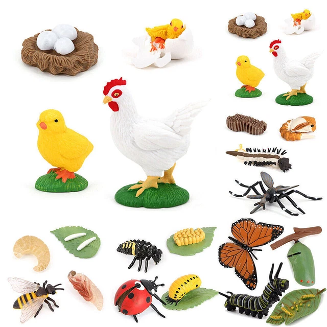 MONTESSORI LIFE CYCLE Animal Plastic Insects Monarch Butterfly ...