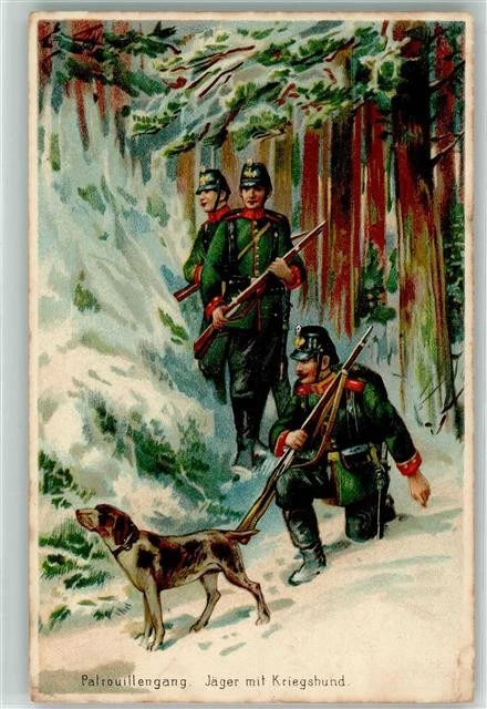 13912356 - SAMMELPOSTKARTE des Deutschen Kriegerbundes Patrouillengang ...