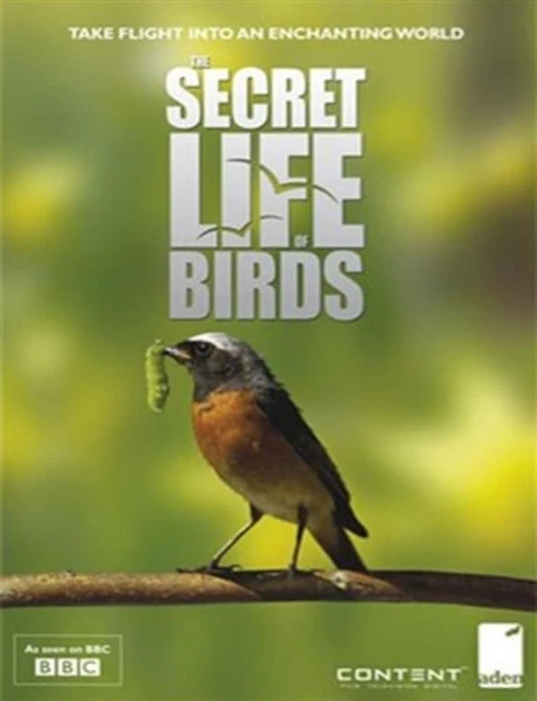 SECRET LIFE OF Birds DVD (2012) £4.99 - PicClick UK