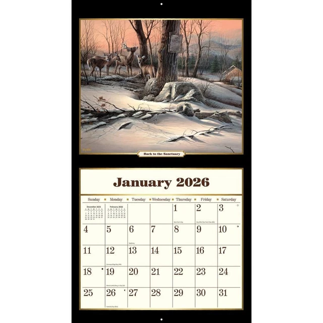 TERRY REDLIN 2026 Wall Calendar $72.57 - PicClick AU