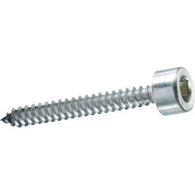VITE AUTOFILETTANTE TCCE AMBROVIT - ZINCATA BIANCA MM 4,8X19 CF=PZ 500 ...