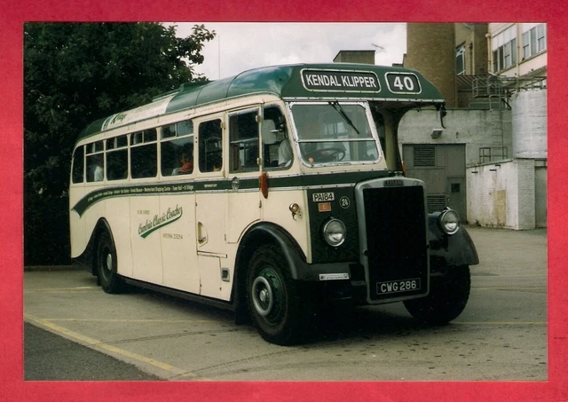 BUS PHOTO ~ Cumbria Classic Coaches CWG286 - 1950 Alexander Leyland PS1 ...
