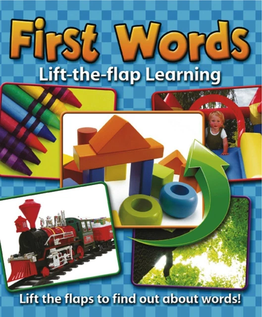 NEW FIRST WORDS Lift the Flap Learning Picture Illustrated Word Board ...