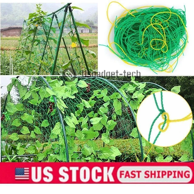 HEAVY DUTY TRELLIS Netting Plant Support Net Garden Vine Vegetable ...