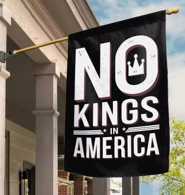 NO KINGS IN America Resistance Anti Fascism Impeach Fvck Trump Flag £16 ...