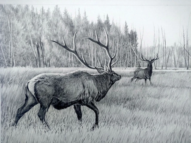 LEE CABLE WILDLIFE Artist - Original Pencil Art £745.19 - PicClick UK
