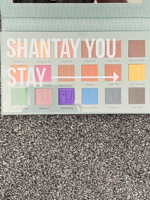 RUPAUL SHANTAY YOU Stay Pallet occhi opachi - Nuovissima EUR 11,69 ...