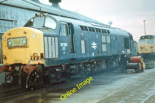 RAILWAY PHOTO 6X4 Class 37 37125 BR Blue Stabled at Doncaster c1979 £2. ...