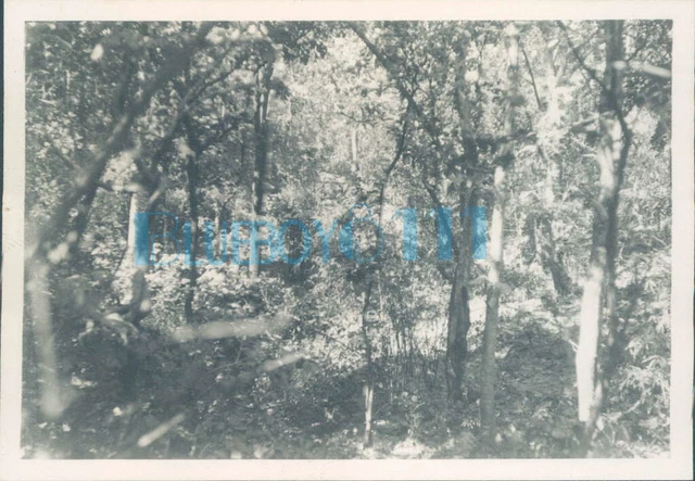 1939 BRITISH ARMY officers Hunting Trip Poona WW2 Colonial India ...