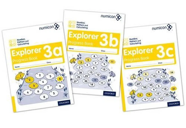 NUMICON: NUMBER, PATTERN and Calculating 3 Explorer Progress Books Abc ...